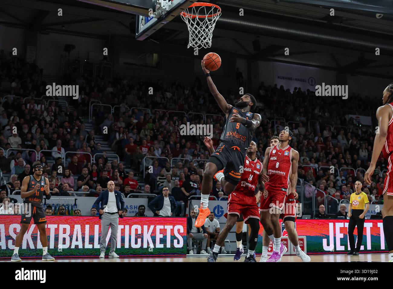 26 October 2025, Bavaria, Bamberg: Basketball, Bundesliga, Season 2025 ...