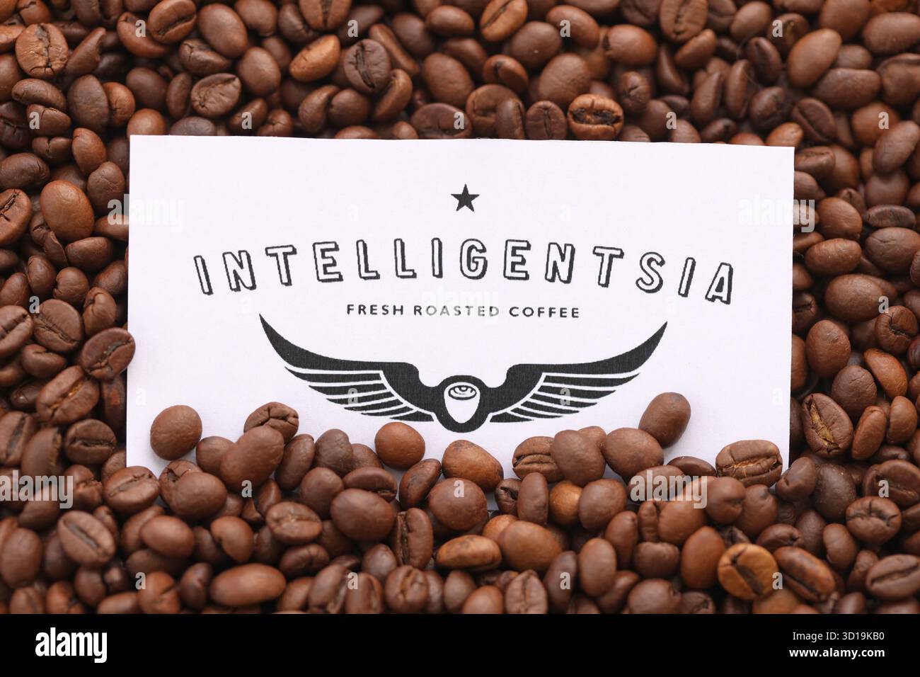 Intelligenzia hi-res stock photography and images - Alamy