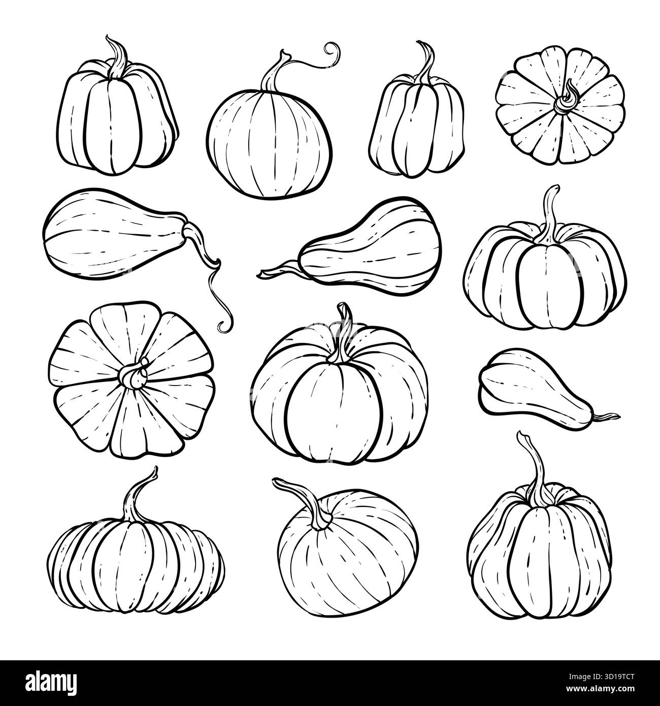 Autumn background white pumpkins Black and White Stock Photos & Images ...