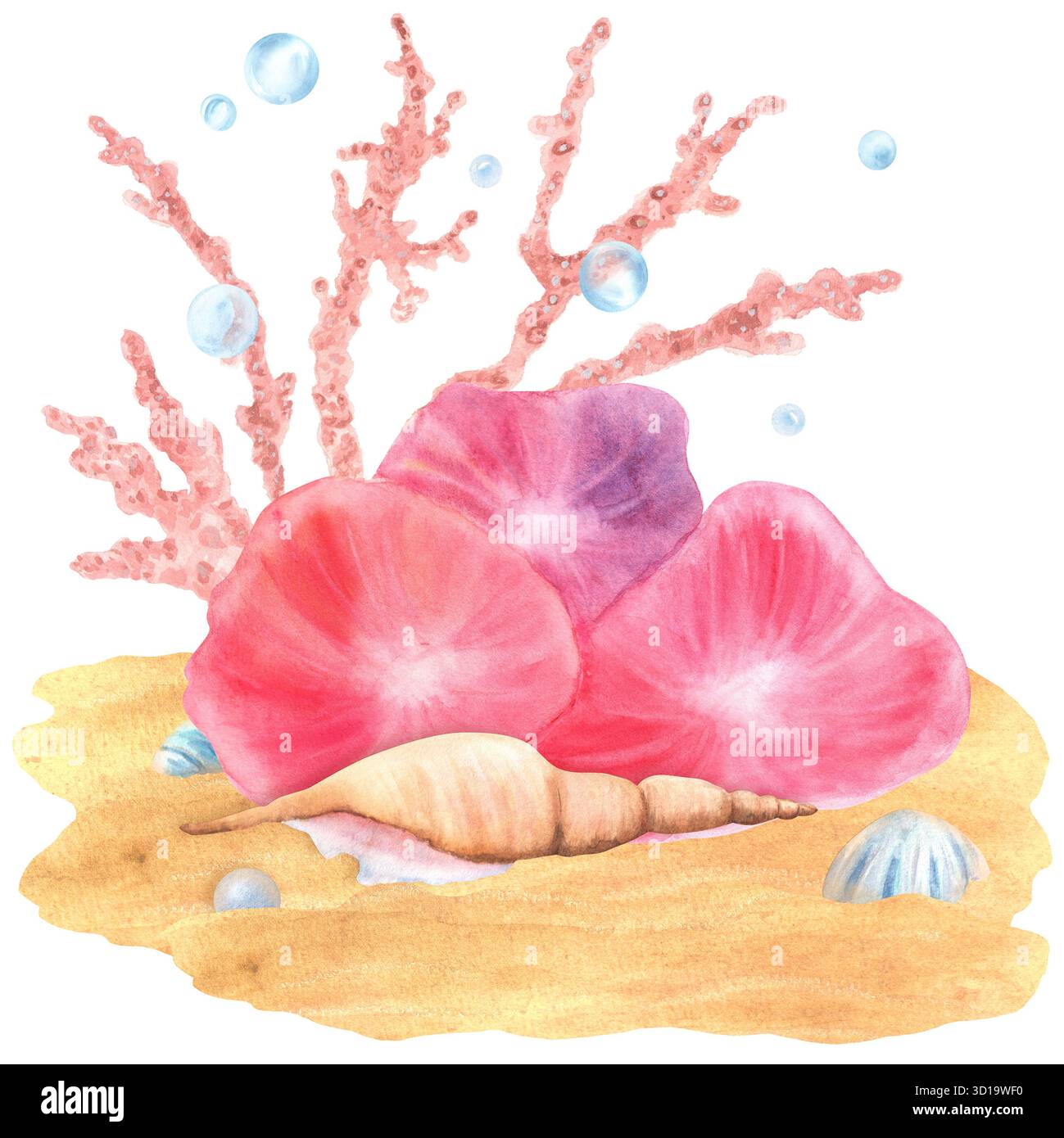 Seashell composition on blue Cut Out Stock Images & Pictures - Alamy