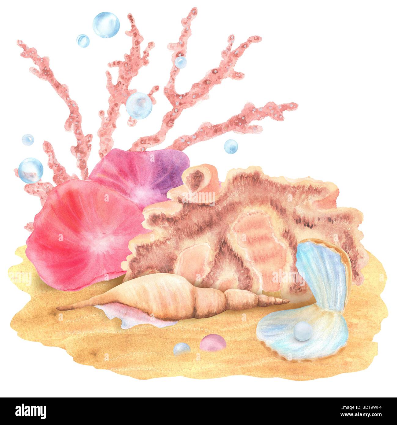 Beautiful seabed Cut Out Stock Images & Pictures - Alamy