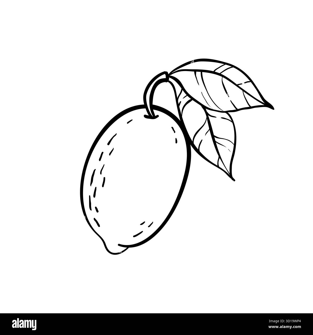 Vector monochrome illustration of lemon logo. . design for holiday ...