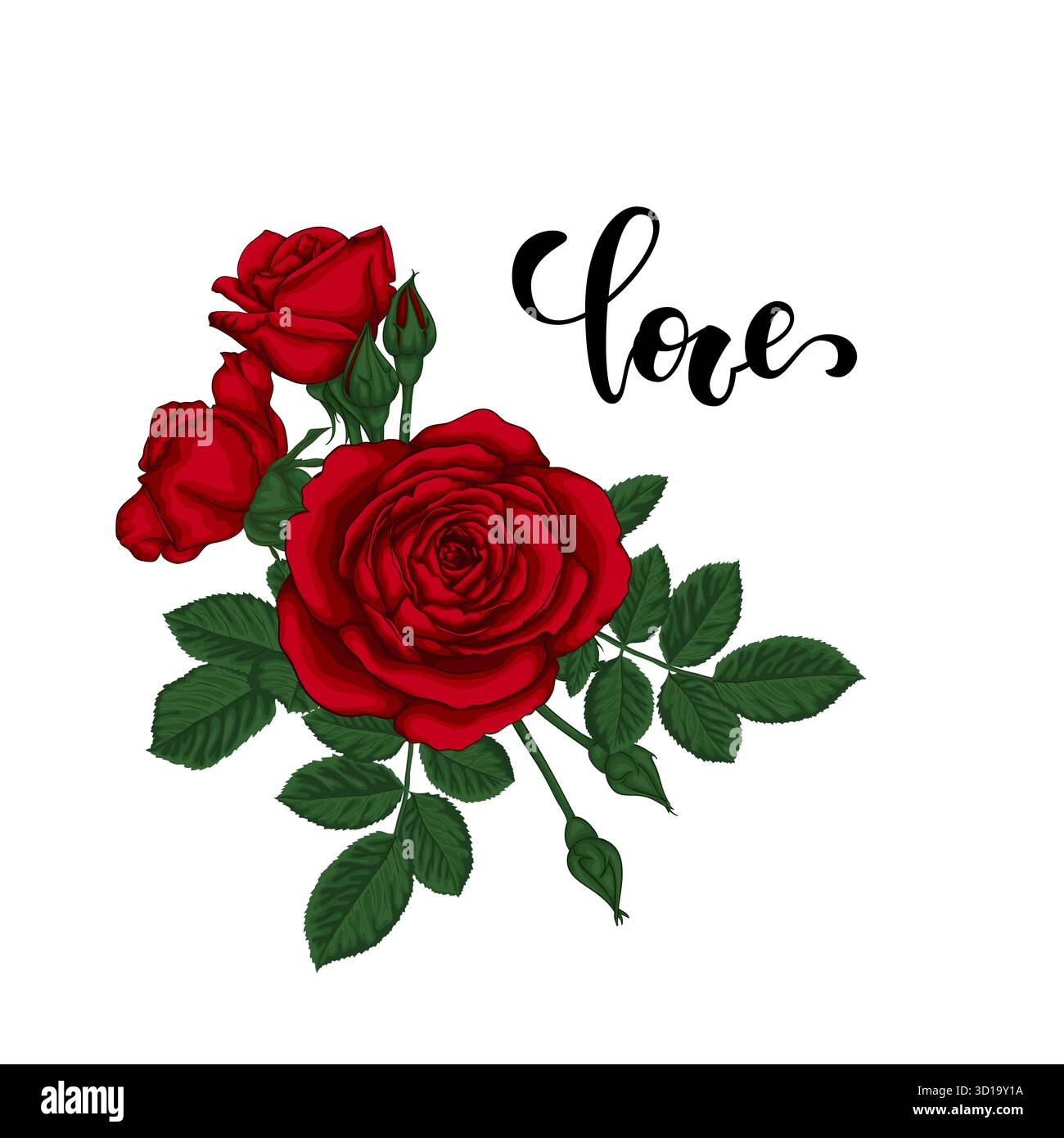 Word love. Hand drawn creative calligraphy and brush pen lettering with ...