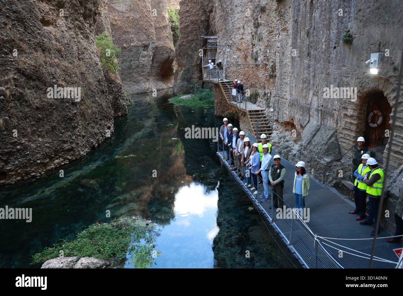 The Minister of Sustainability and Environment of the Junta de ...