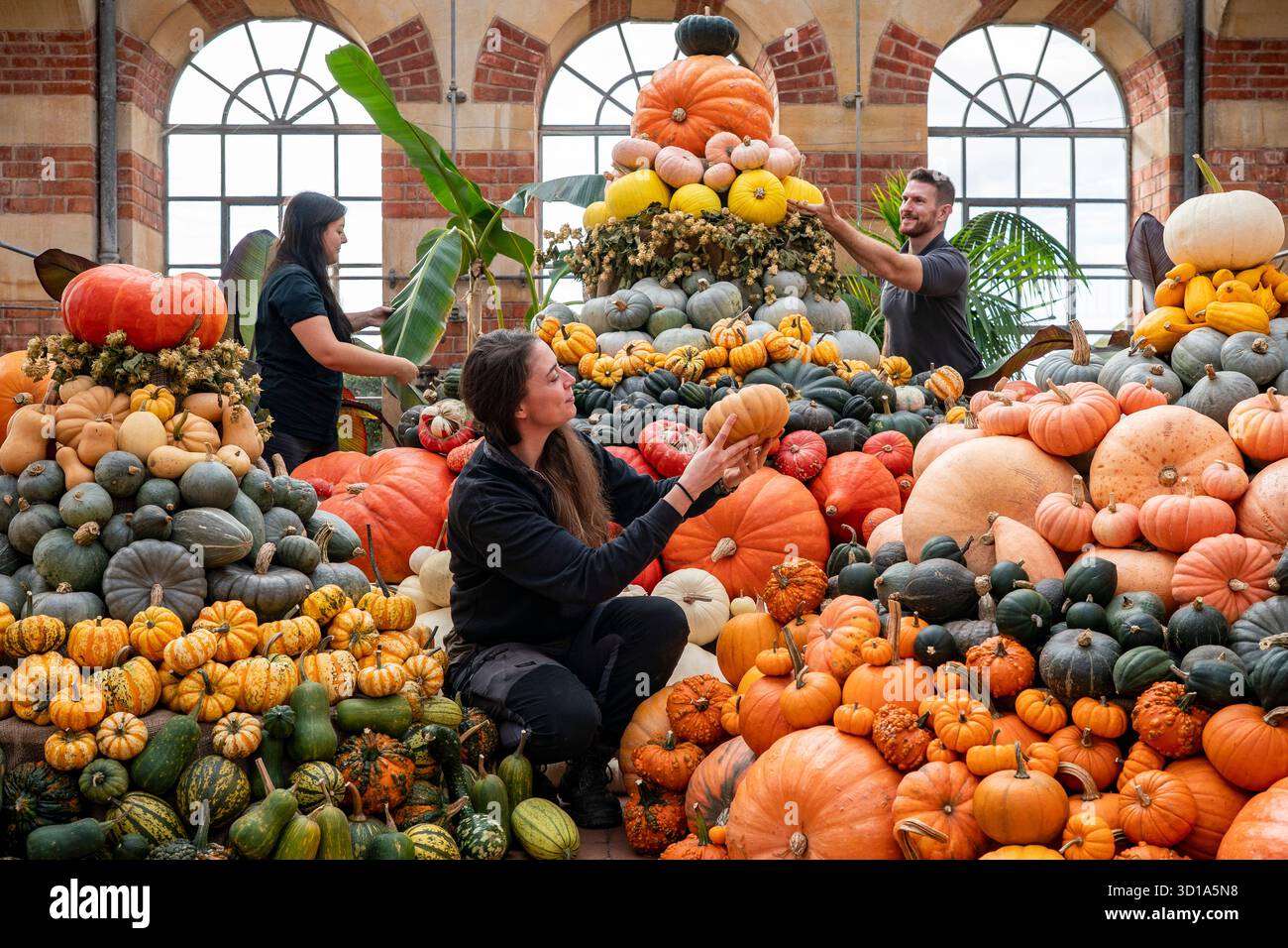 National Trust staff check pumpkins in a display of more than 2,000 ...