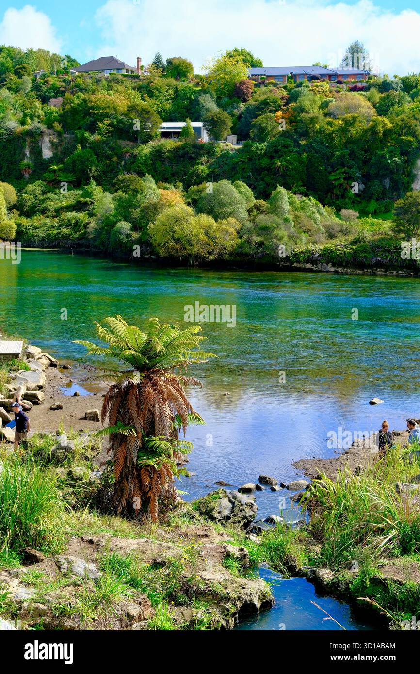 Native riverbank nature flora hi-res stock photography and images - Alamy