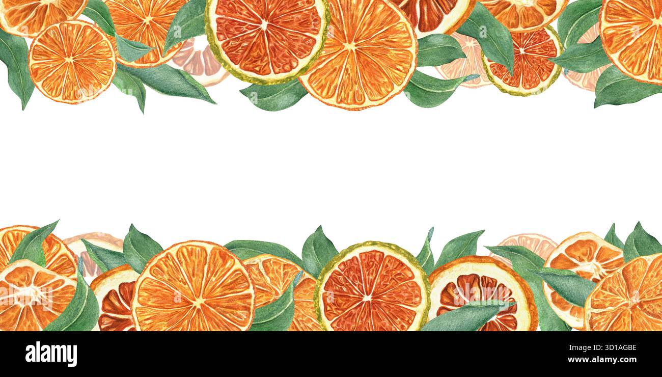 Orange citrus slices and leaves watercolor horizontal frame on isolated ...