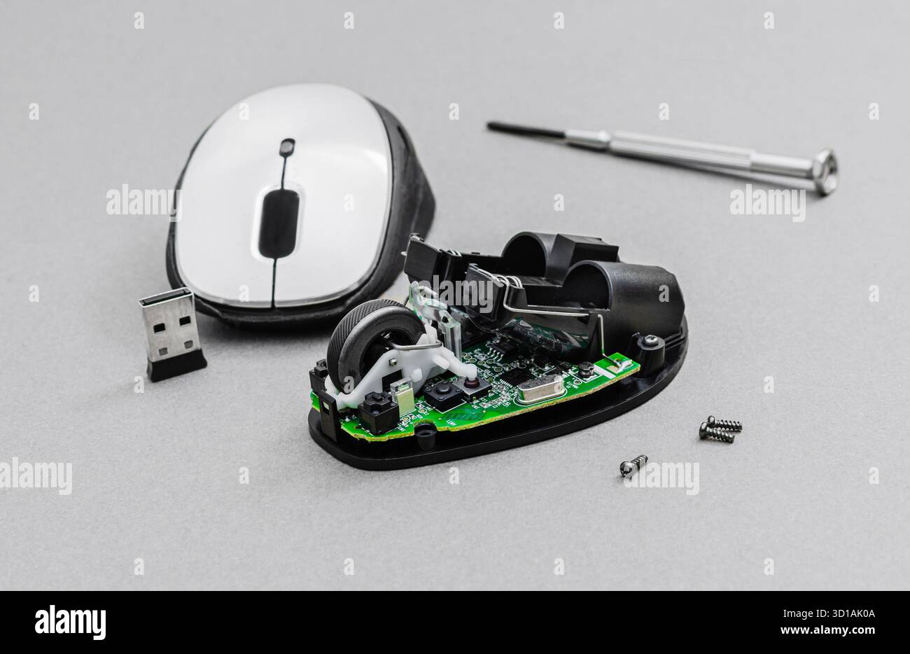 A close-up studio shot of a disassembled wireless computer mouse ...