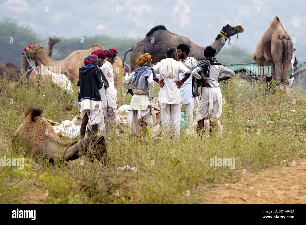 Pushkar in Rajasthan, India. 27 Oct, 2025. Indian Camel herders with ...
