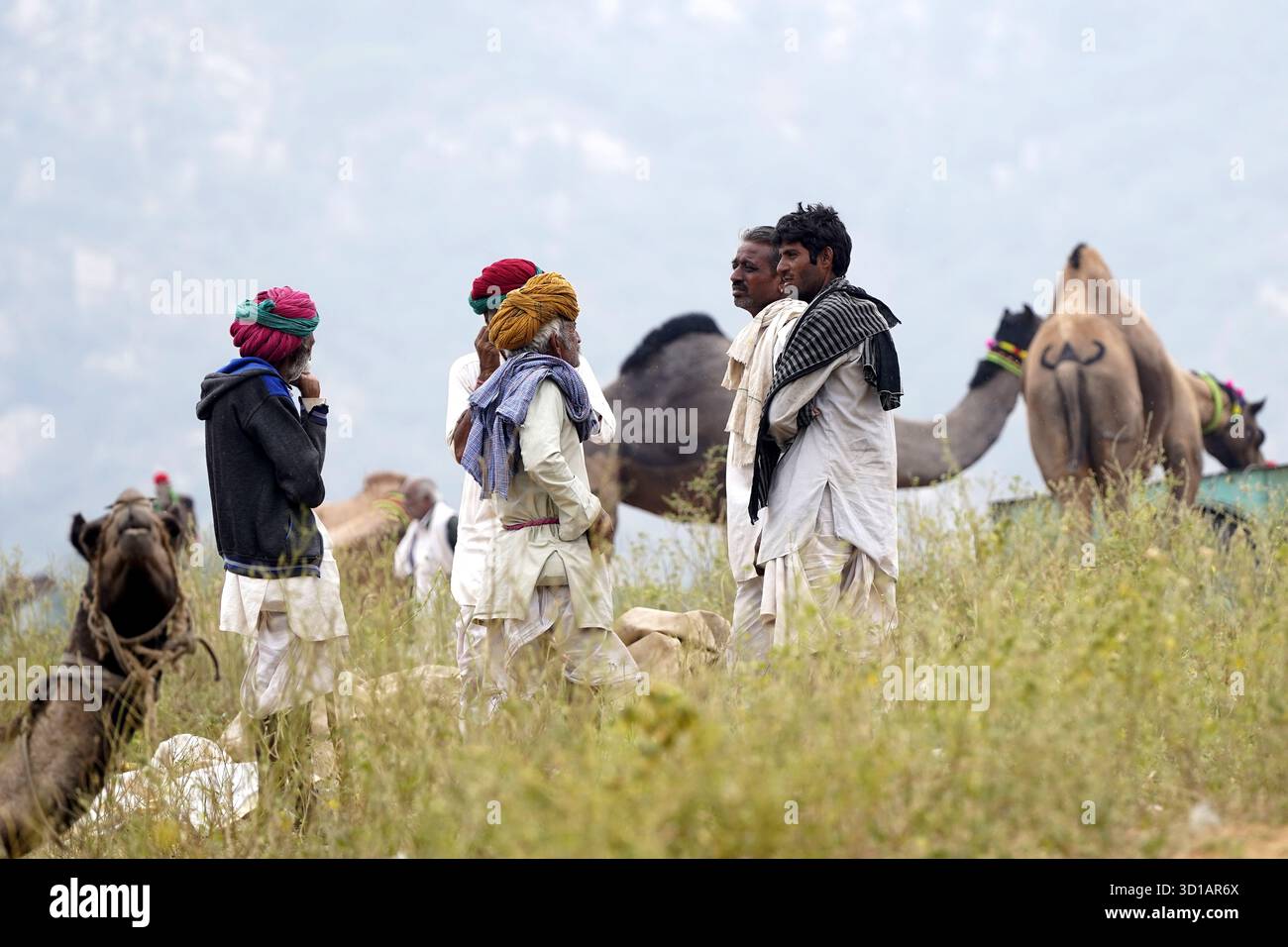 Pushkar in Rajasthan, India. 27 Oct, 2025. Indian Camel herders with ...
