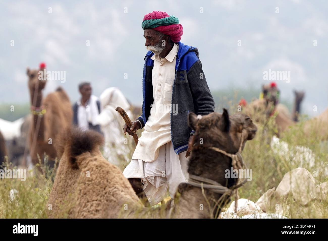 Pushkar in Rajasthan, India. 27 Oct, 2025. Indian Camel herders with ...