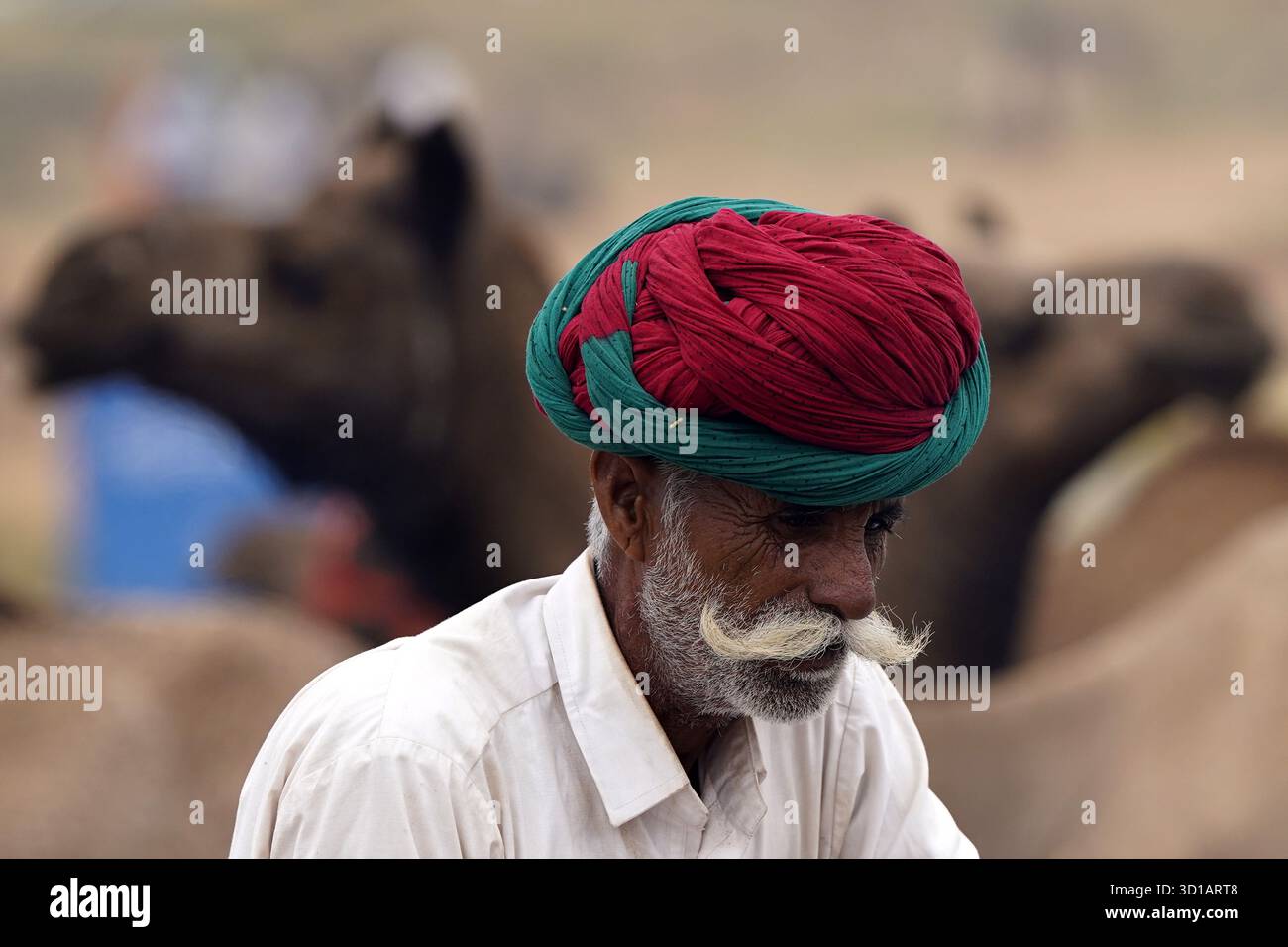 Pushkar in Rajasthan, India. 27 Oct, 2025. Indian Camel herders with ...