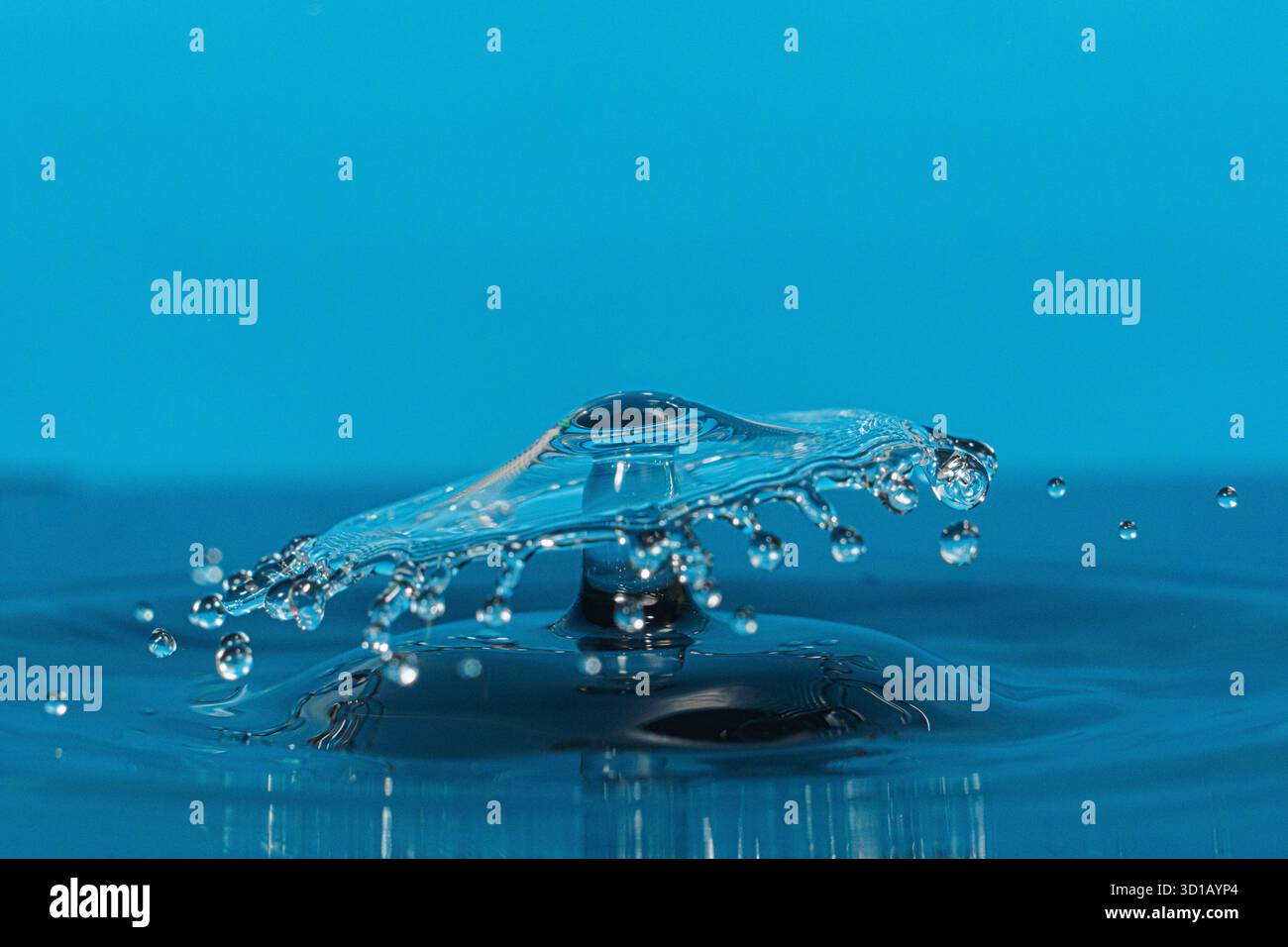 Blue Field Impact: Water Umbrella and Droplet Array in High-Speed ...