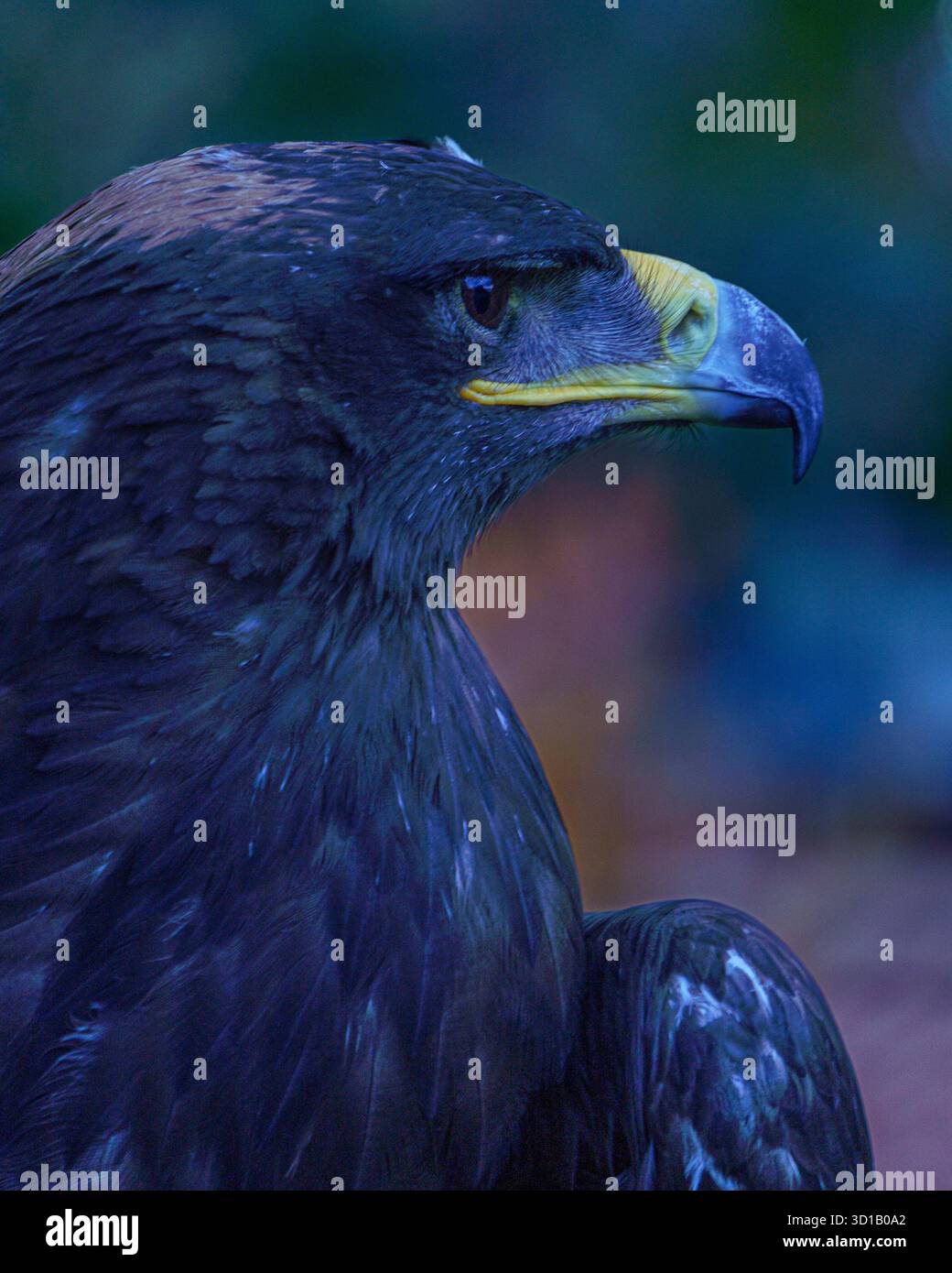 Background image soft focused hi-res stock photography and images - Alamy