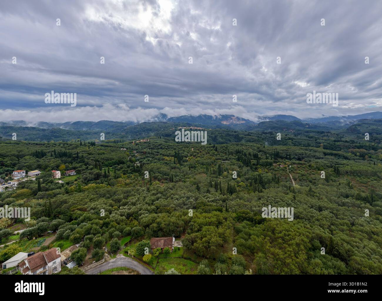Aerial view vast olive hi-res stock photography and images - Alamy