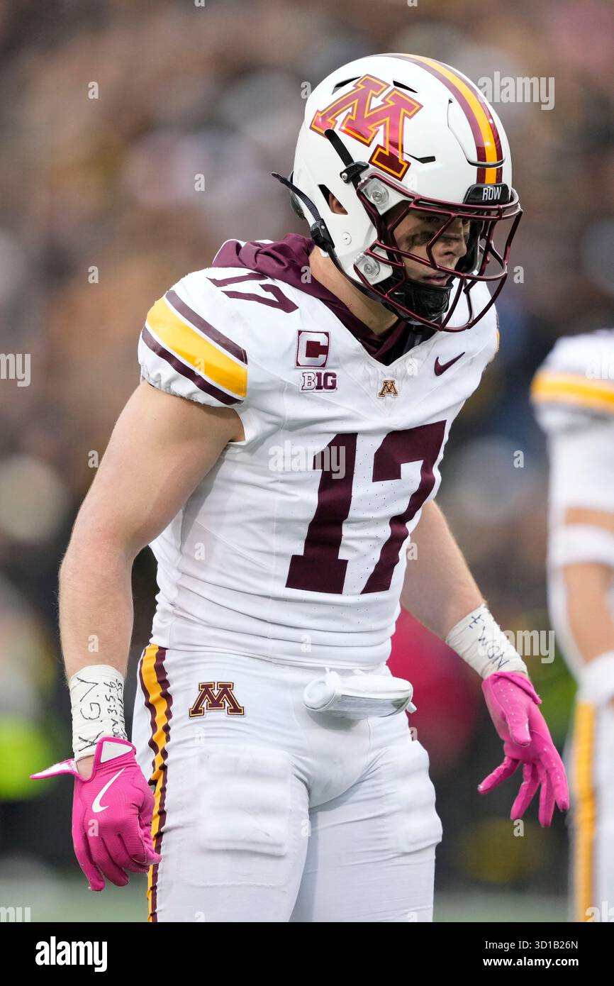 Minnesota defensive back John Nestor gets set for a play during the ...