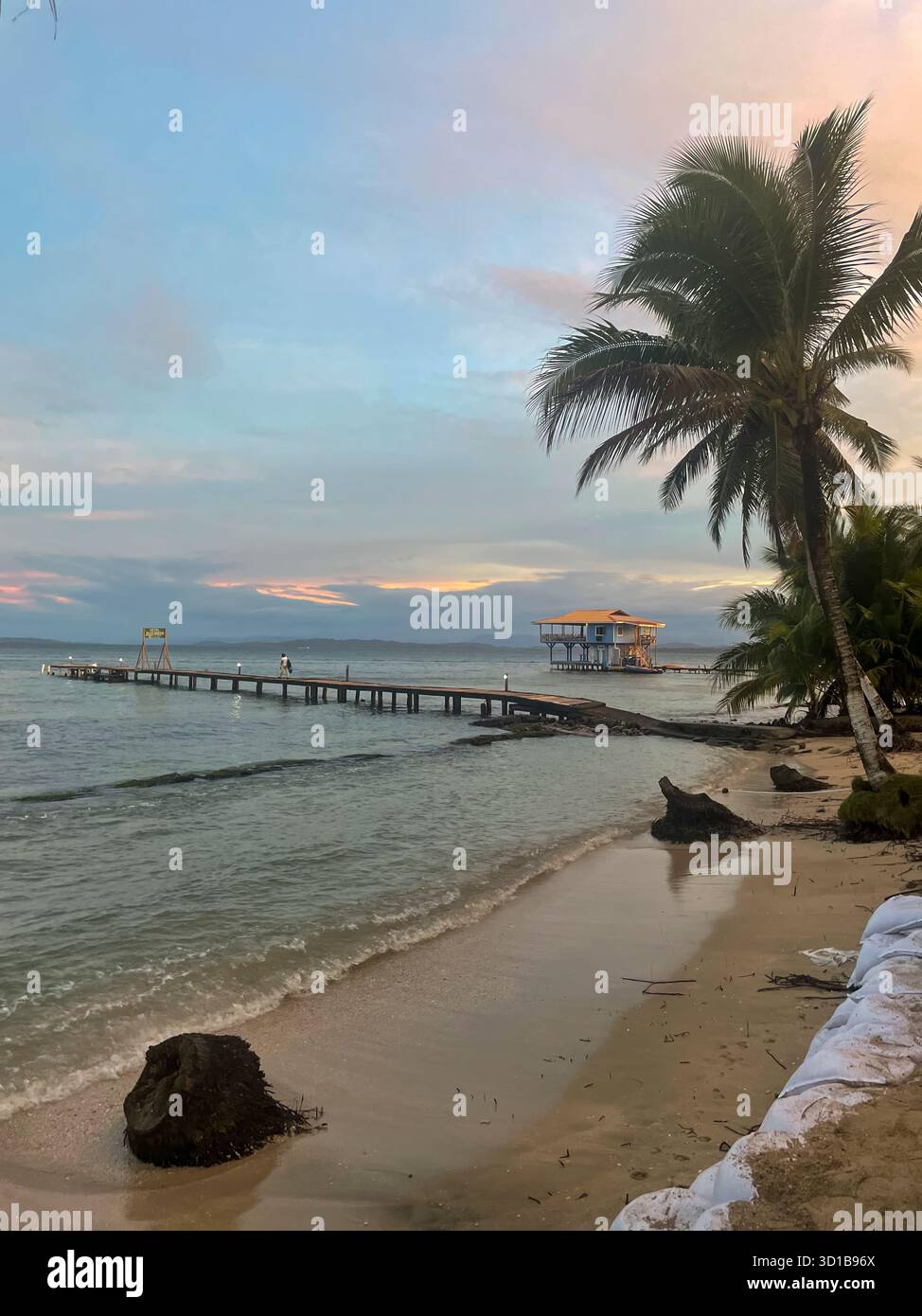 Palm trees on a sandy beach in Bocas del Toro, Panama at sunset. Wooden ...