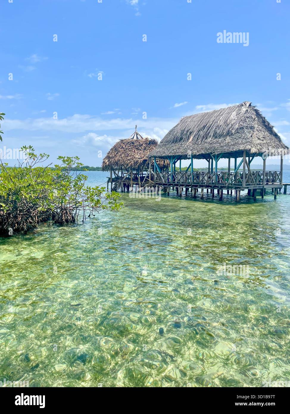 Thatched hut on wooden stilts over clear Caribbean waters near Bocas ...