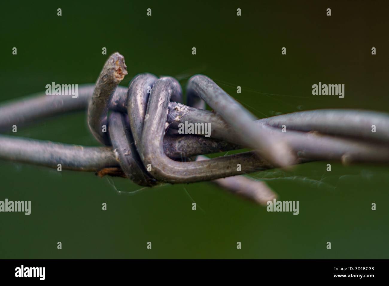 Wire and knot environment hi-res stock photography and images - Alamy