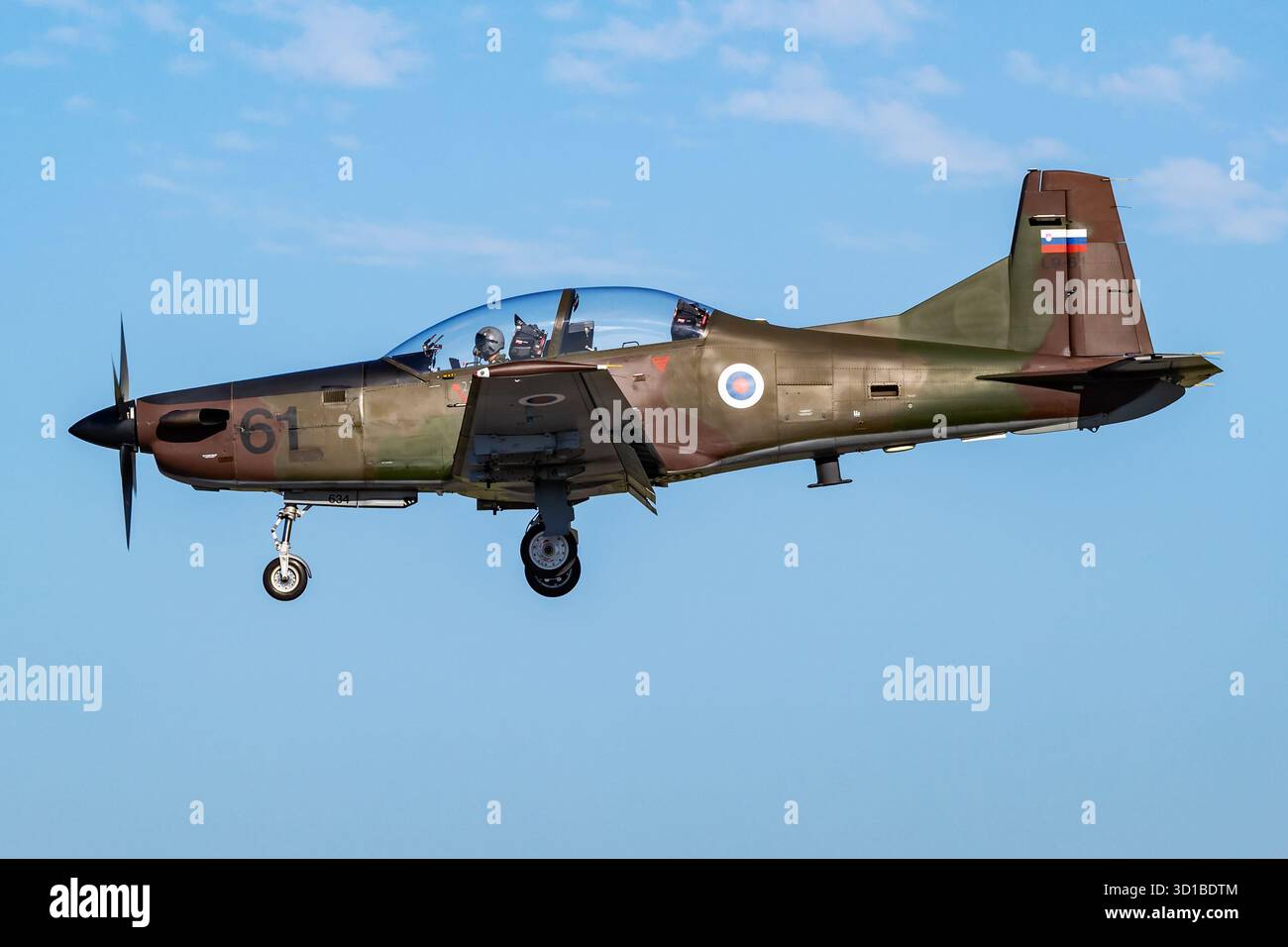Dogfight school hi-res stock photography and images - Alamy