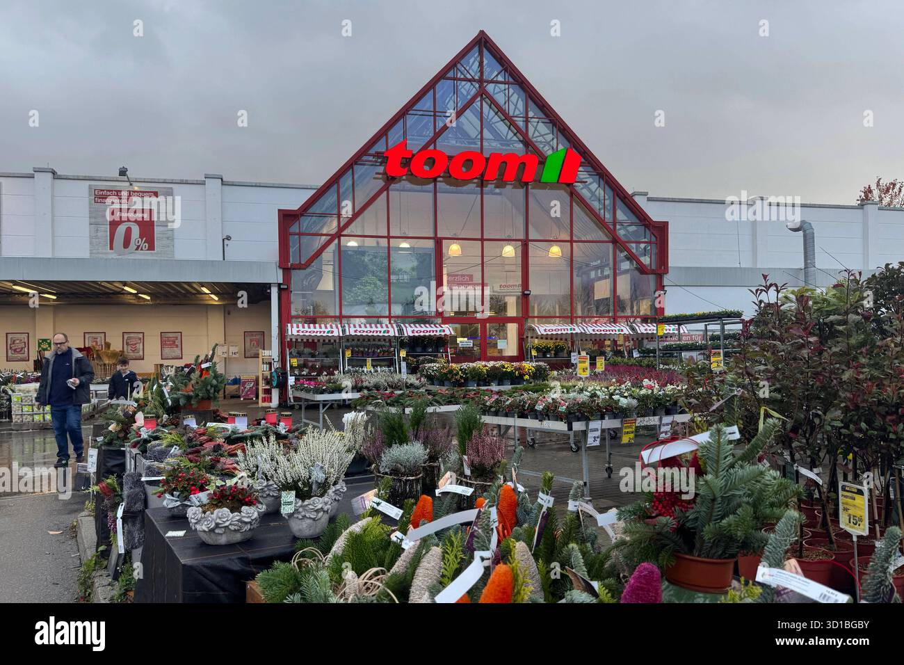 Baumarktkette toom,Waren.Pflanzen ,Herbstpflanzen *** DIY store chain ...
