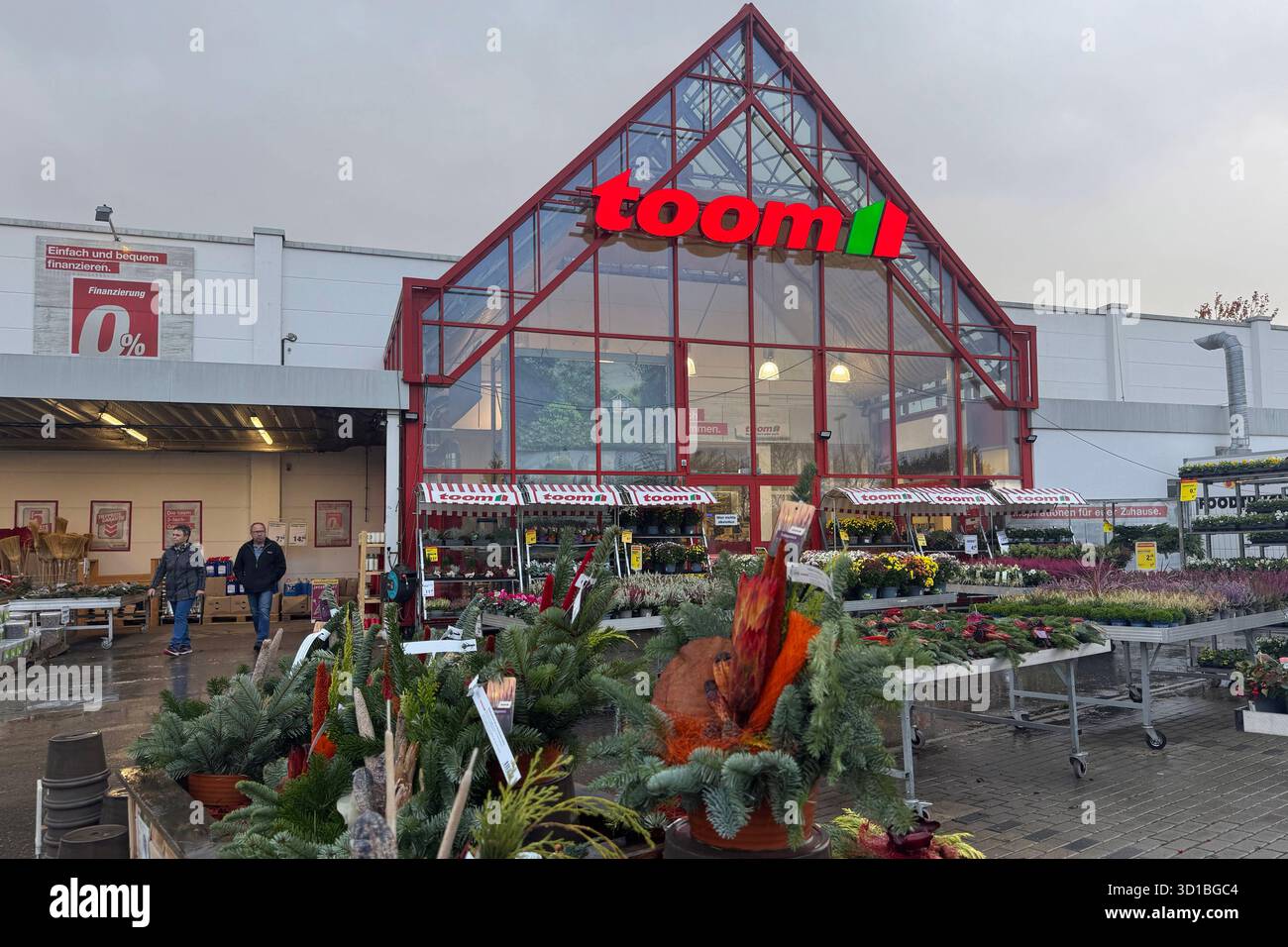 Baumarktkette toom,Waren.Pflanzen ,Herbstpflanzen *** DIY store chain ...