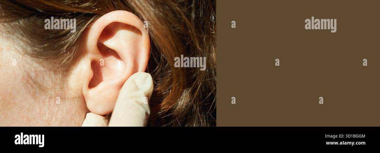 Female caucasian adult ear examined by gloved hand in medical checkup ...