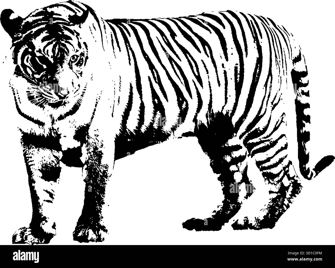 Bengal tiger face art Stock Vector Images - Alamy