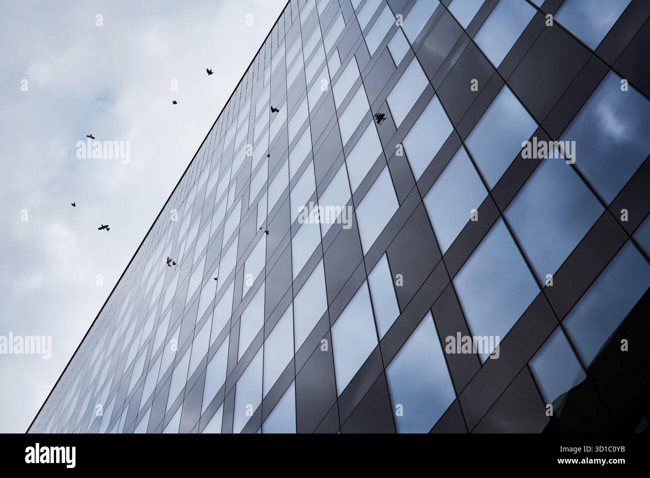 Modern glass facade of an office building with flying birds in the sky ...