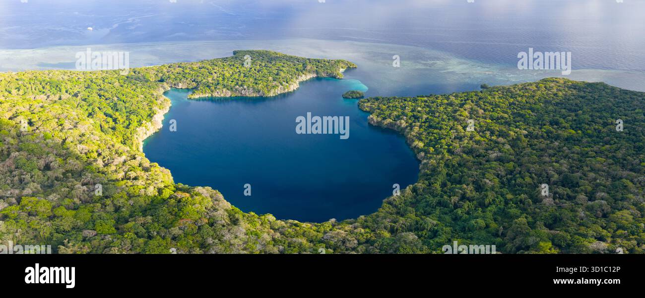 Forest surrounds lagoon on hi-res stock photography and images - Alamy