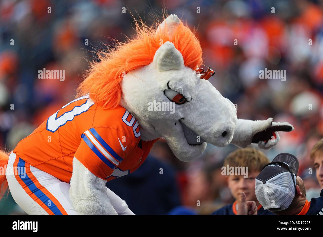 Denver Broncos mascot Miles in the second half of an NFL football game ...