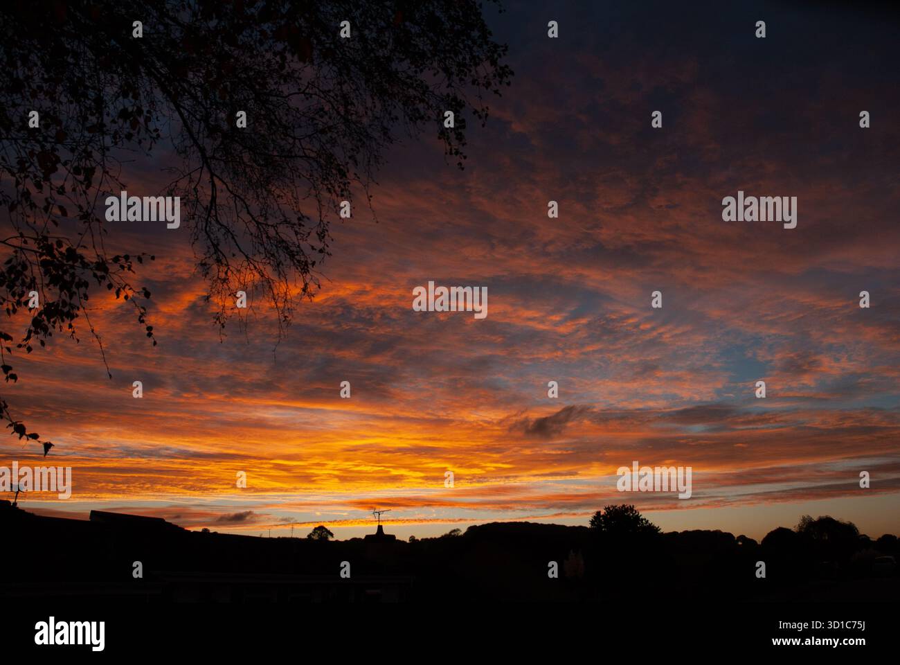 Devon skyline hi-res stock photography and images - Alamy
