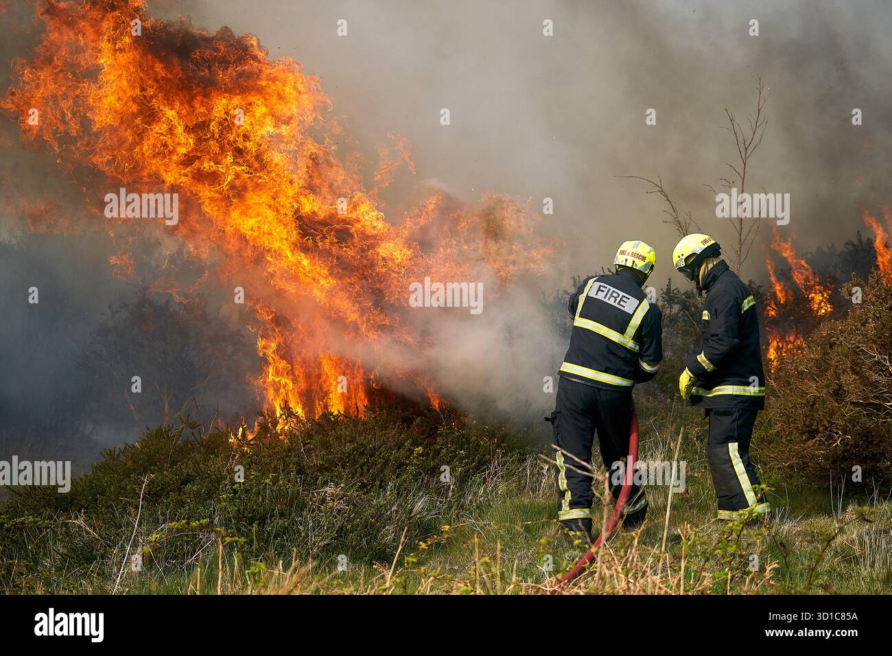 Wildfires fire burning with a lot of smoke, firefighters Stock Photo ...