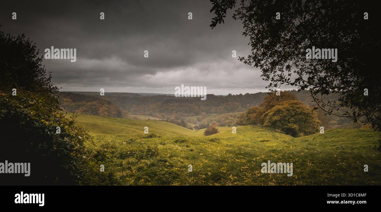 An evocative series of autumn photographs capturing the deep, rich ...