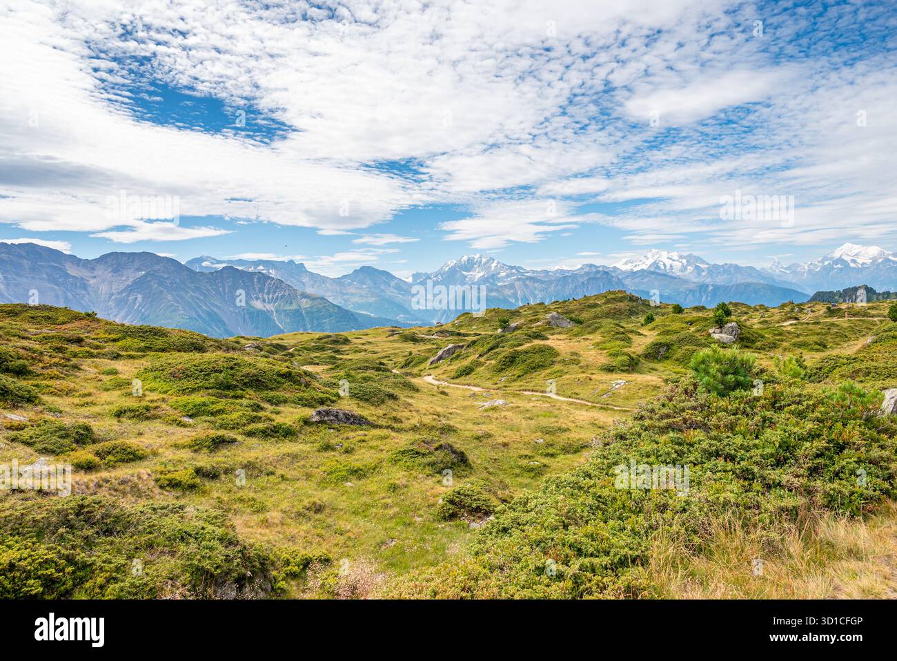 the beautiful landscape of Aletsch arena in Switzerland Stock Photo - Alamy