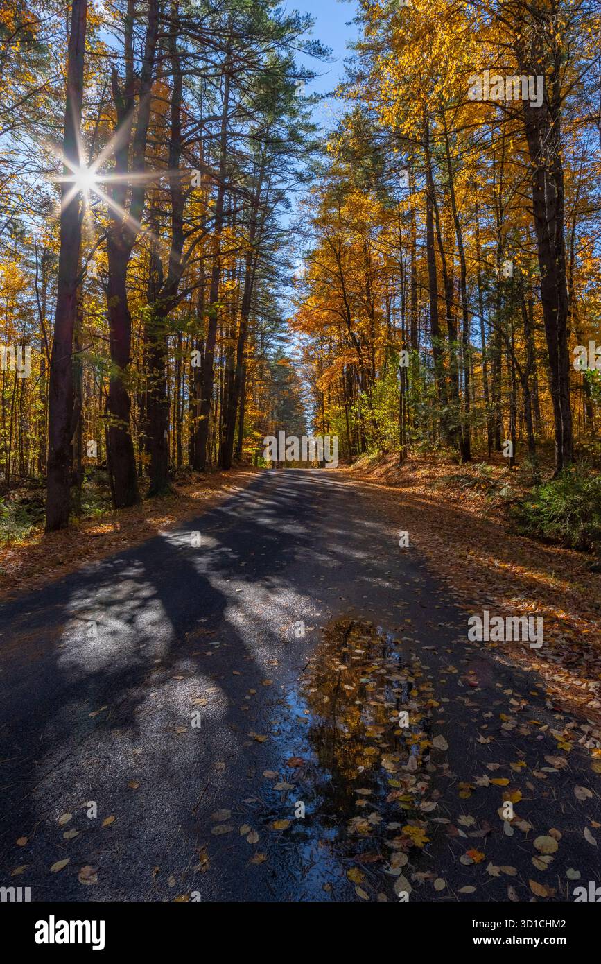 Autumn color framing a backroad near Corinth, upstate New York Stock ...