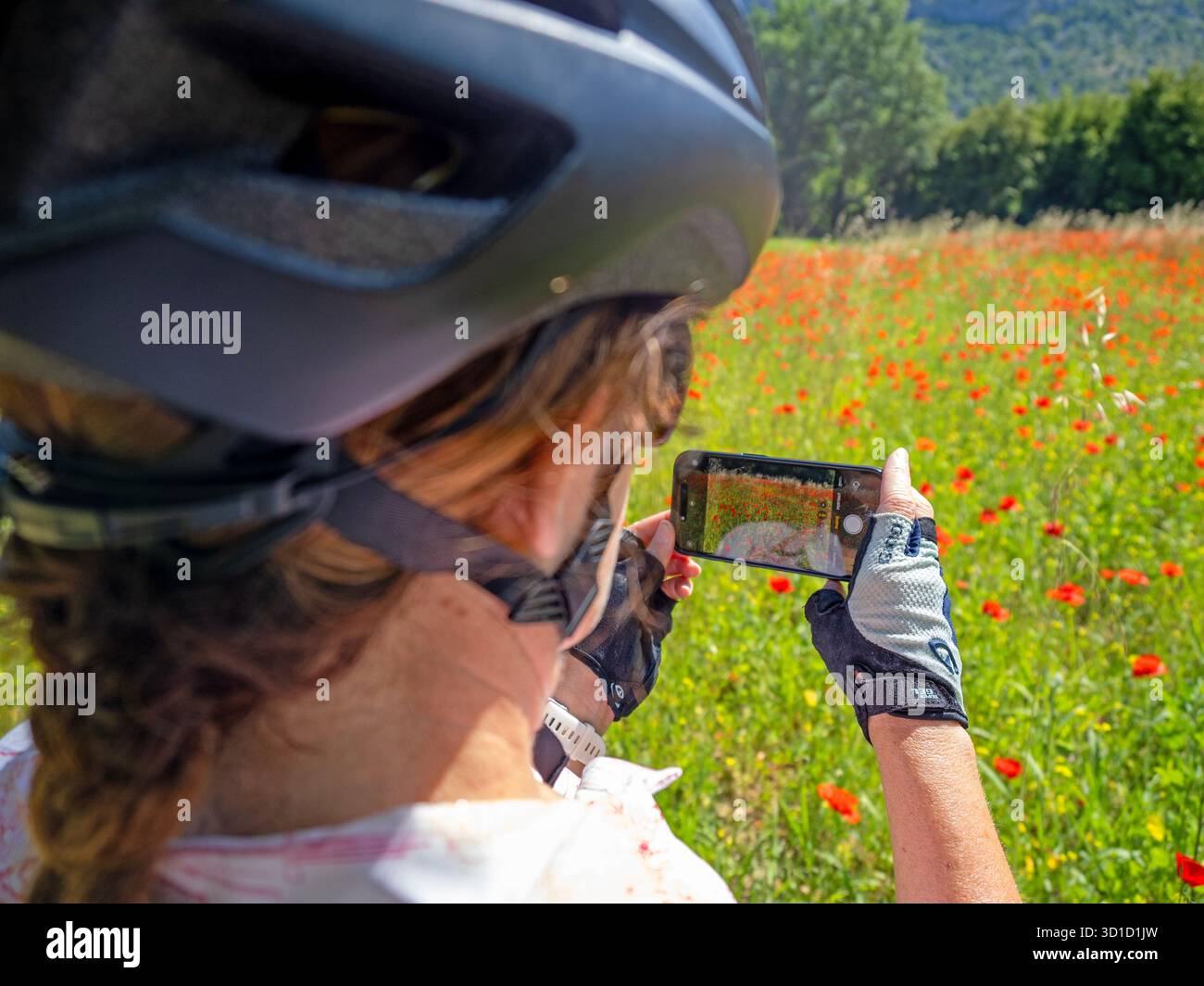 Cyclist photographing poppies along the Ciro Rail Trail in Bosnia Stock ...