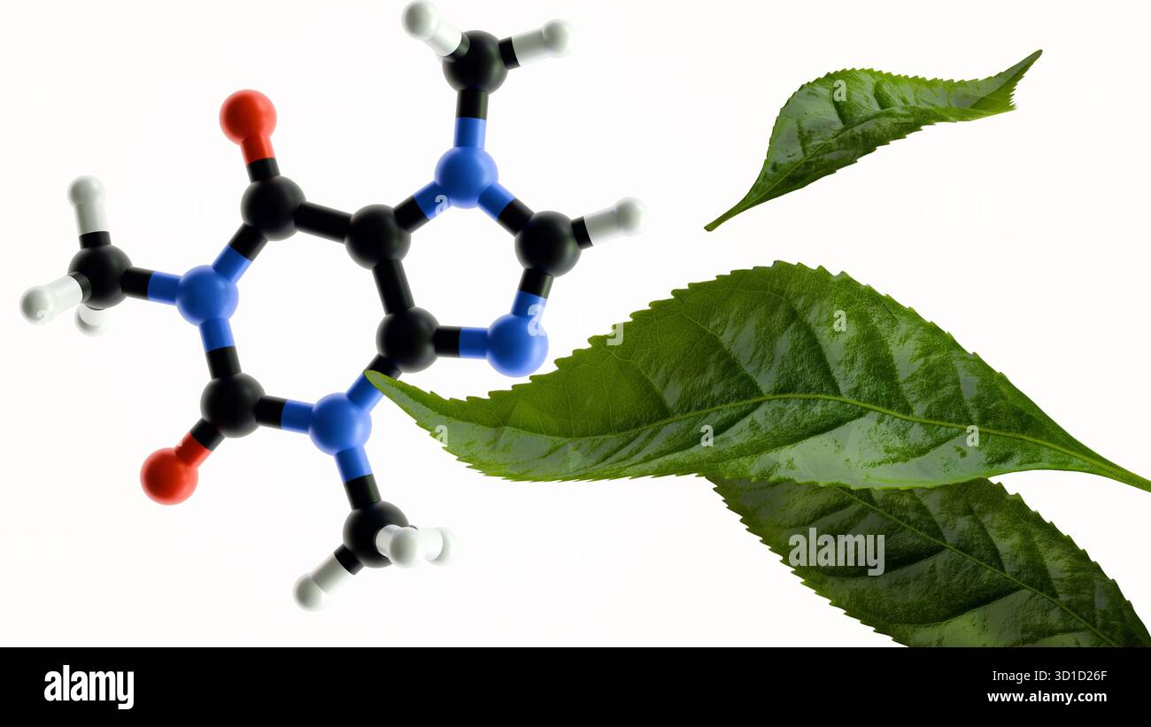 A 3D molecular model of caffeine with tea leaves, illustrates the ...