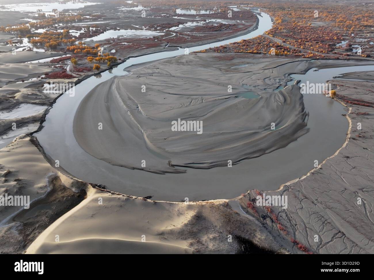 YULI, CHINA - OCTOBER 27, 2025 - The natural Populus euphratica forest ...