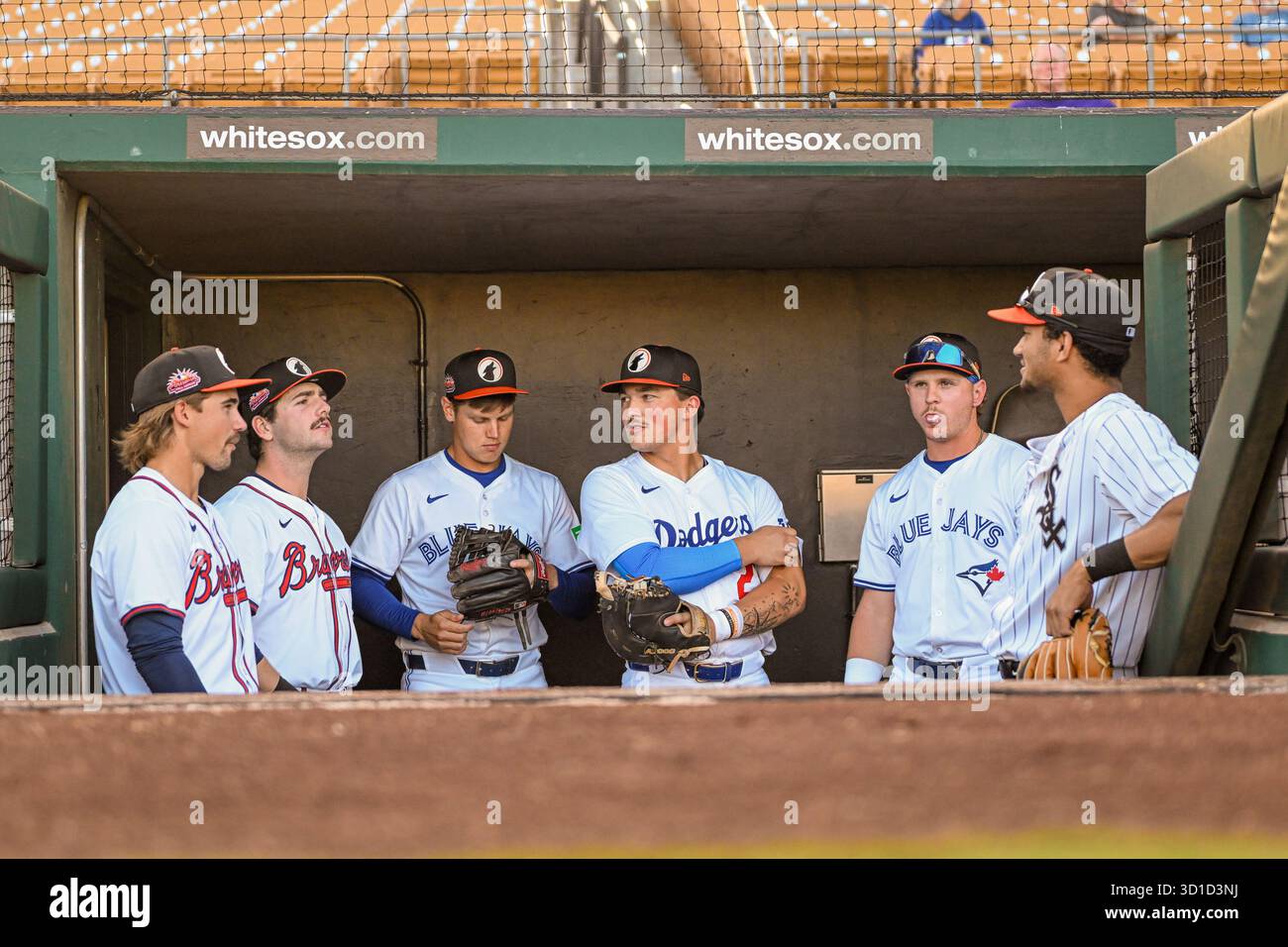 Glendale Desert Dogs infielders stand ready to take the field in the ...