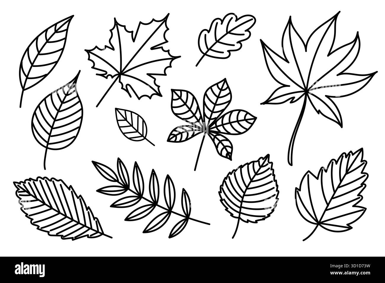 Collection of hand-drawn fall leaves in minimalist black outline style ...