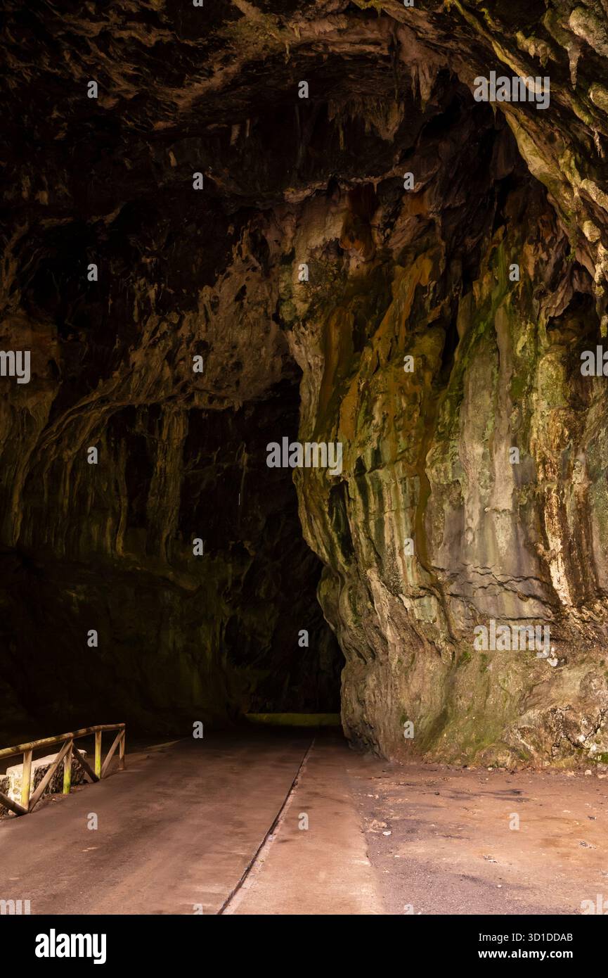 Road inside a natural tunnel, the walls have stalactites Stock Photo ...