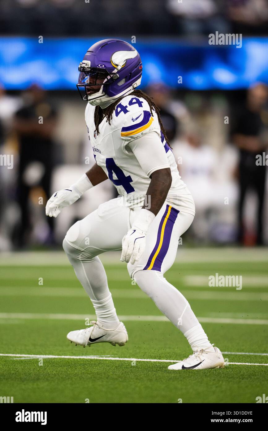 Minnesota Vikings safety Joshua Metellus (44) takes his stance during ...