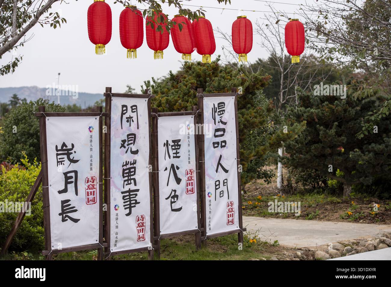 Autumn flowers attract tourists in Qingdao City, east China's Shandong ...