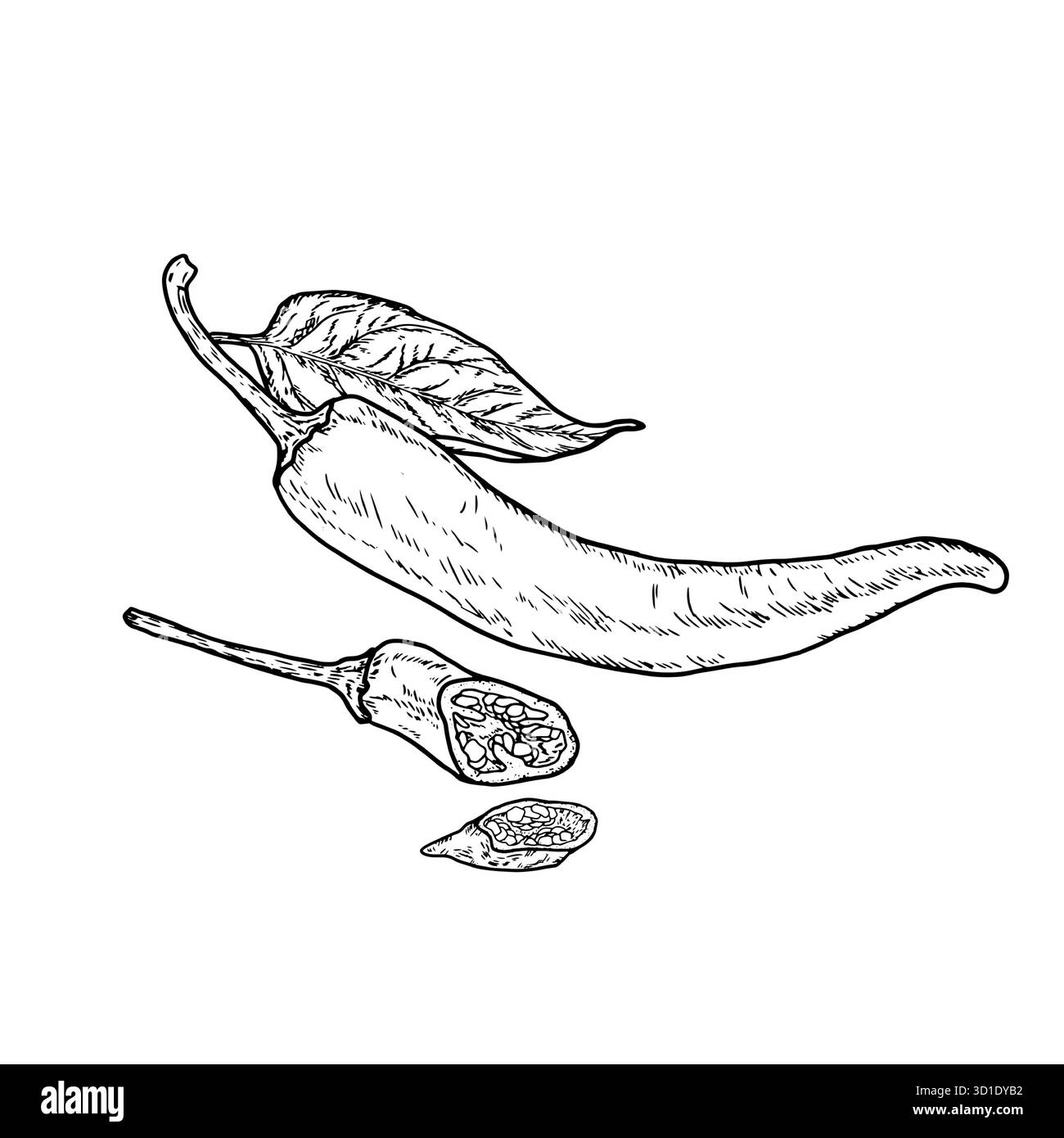 Cut chili Stock Vector Images - Alamy