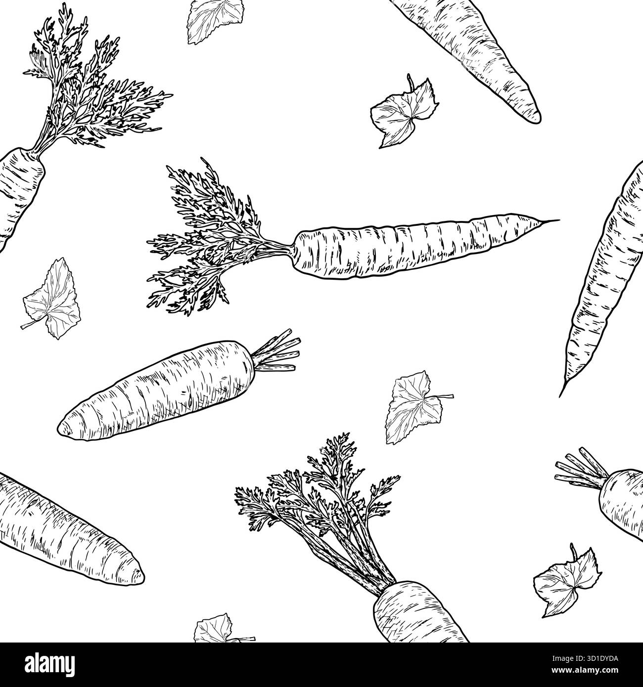 Carrot plant soil Black and White Stock Photos & Images - Alamy