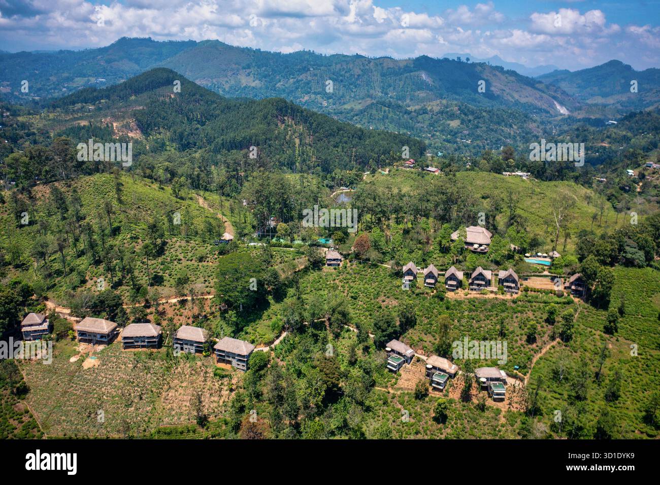 Aerial view of houses nestled in lush greenery, with distant mountains ...