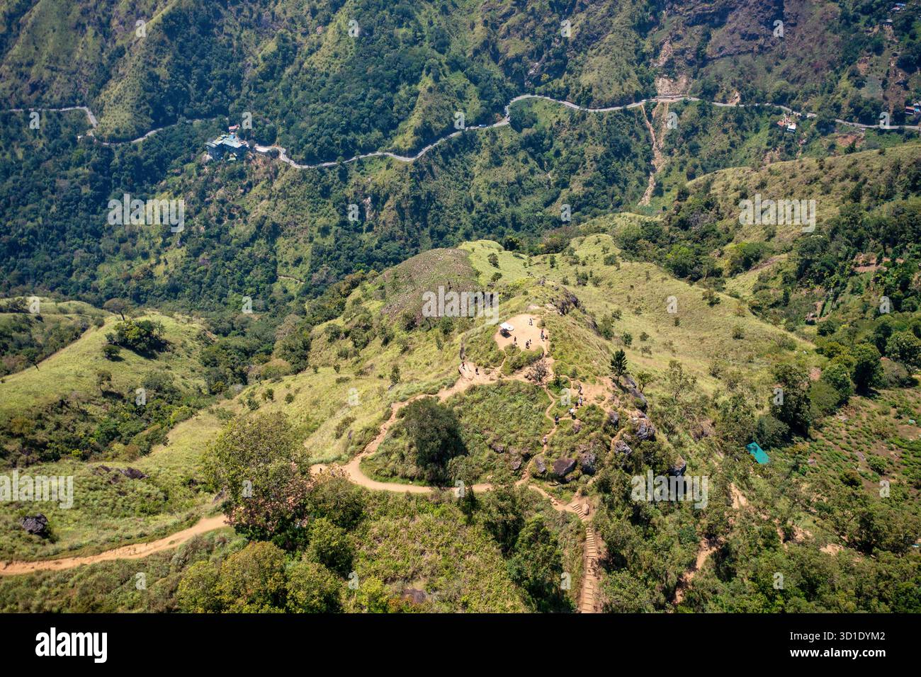 Aerial view of Little Adam's Peak trail winding through vibrant green ...
