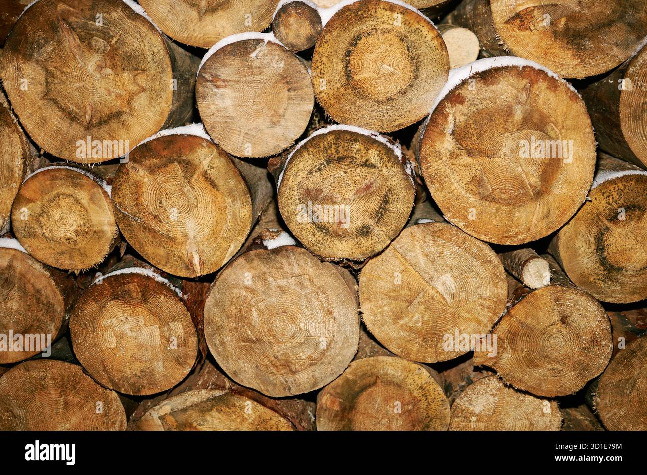 Stacked Firewood Logs Showing Natural Wood Texture and Circular ...