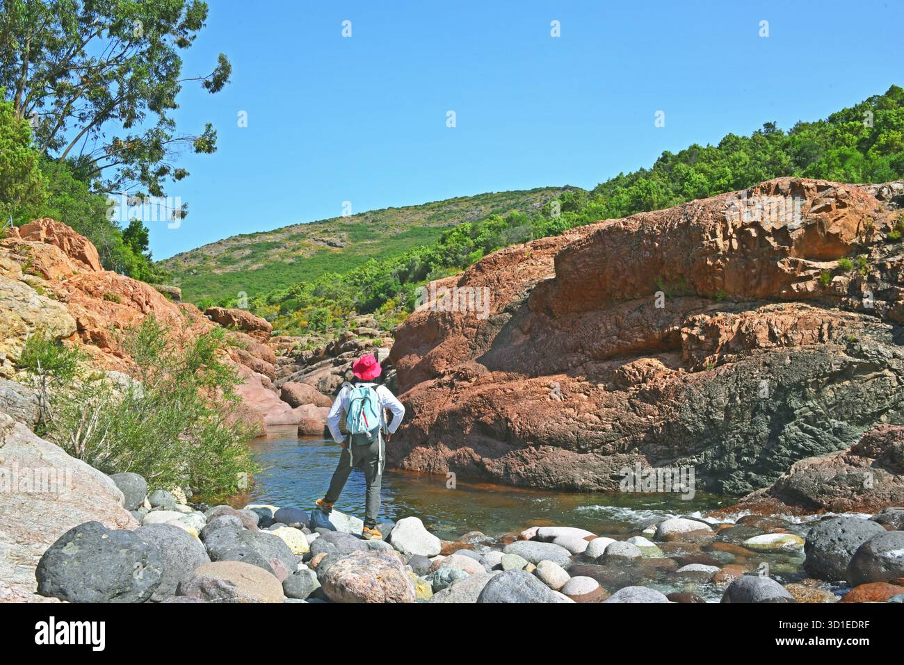 wanderer standing by the Fango River, France, Corsica, Galeria Stock ...